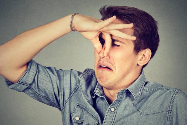 4 remedios remedios caseros para eliminar la pecueca y evitar momentos ...