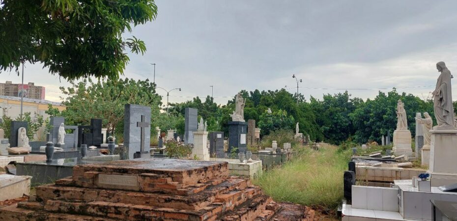 Tumbas de Lossada y Fernández Morán en El Cuadrado: hojarasca y recuerdos